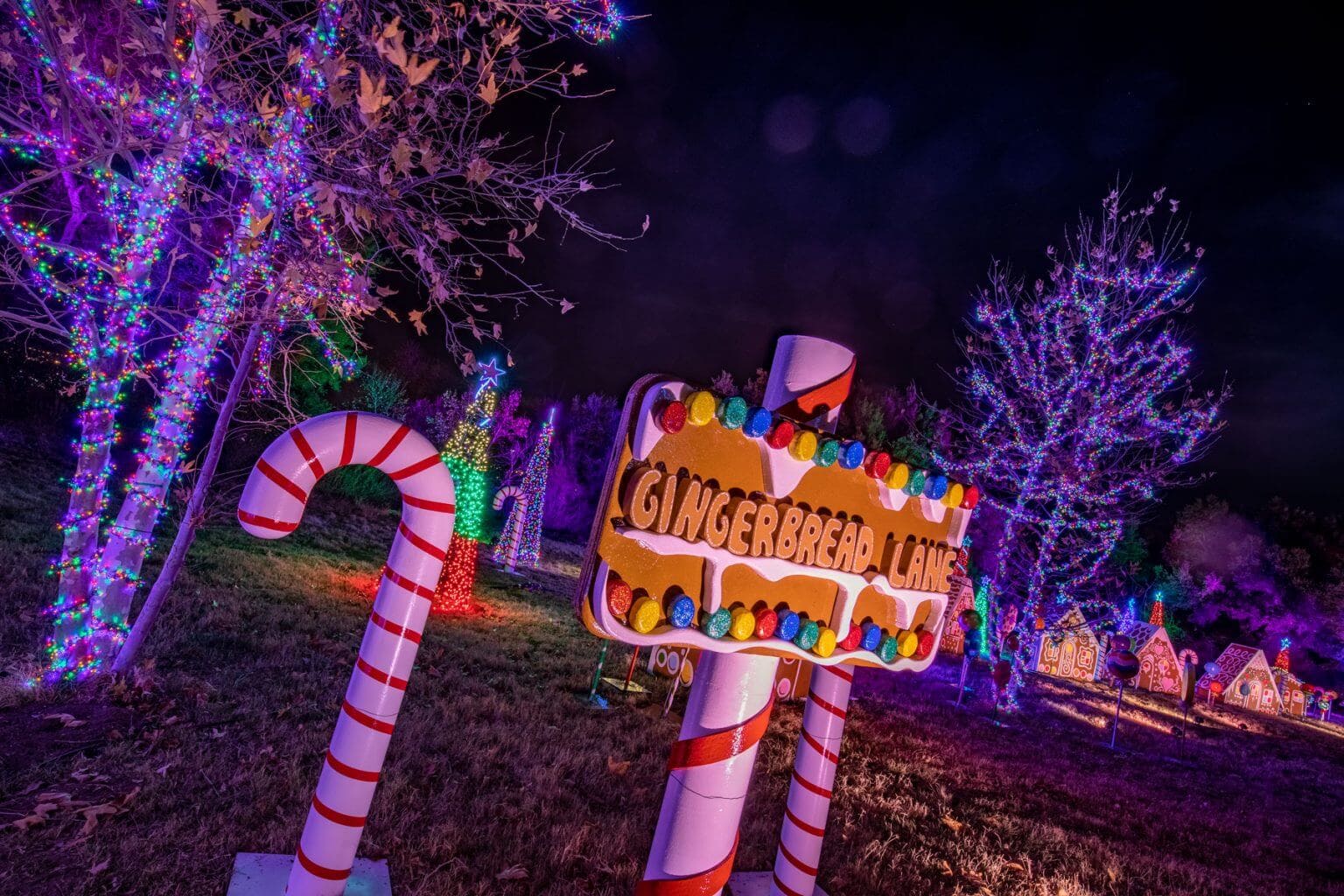 Holiday Road 2025 Offers the Ultimate Festive Experience for Families