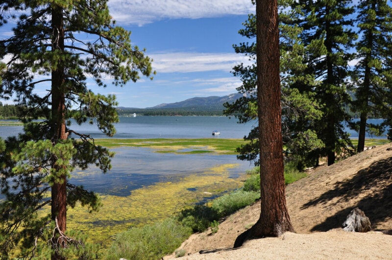 25 Fun Things to Do in Big Bear with Kids