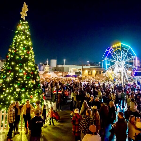 Ultimate Guide to Holiday Tree Lighting Events in the South Bay 2025 ...