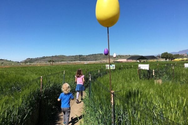 Fun Things to Do in Southern California This Spring